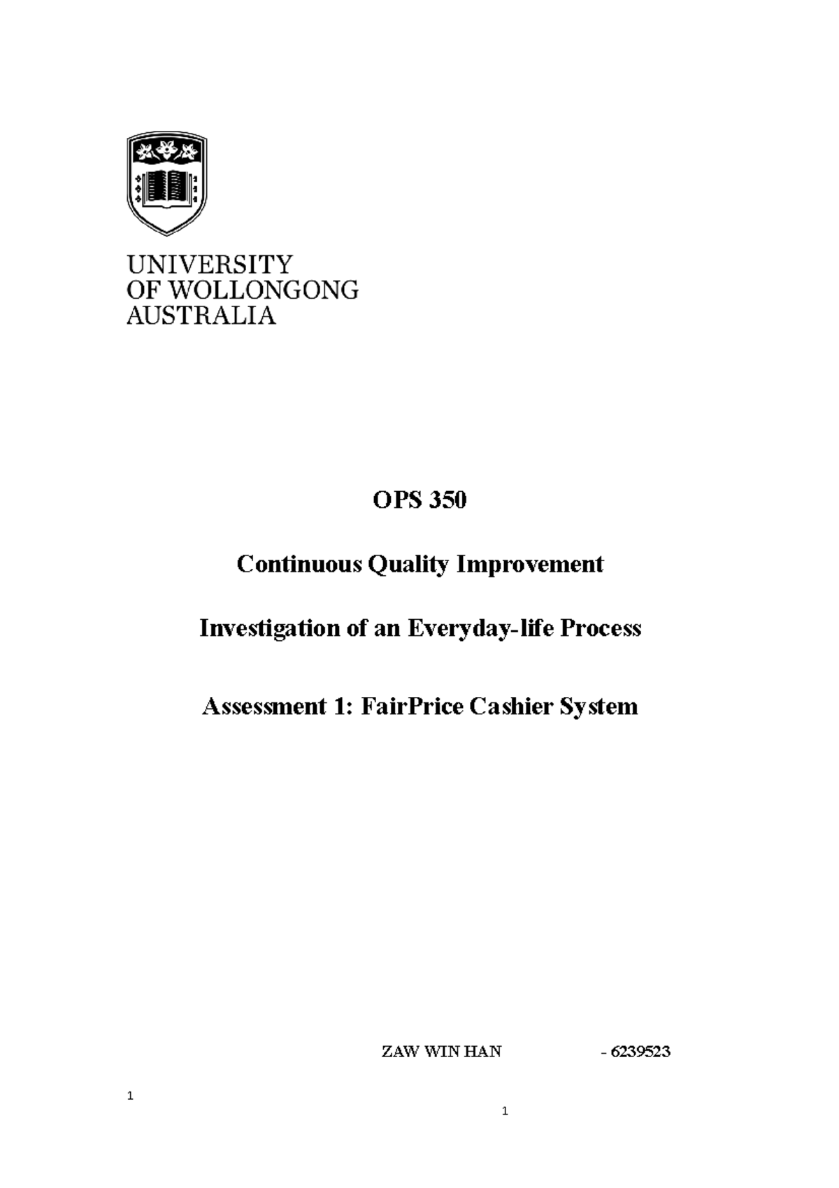 Continuous Quality Improvement Investigation of an Everyday-life ...