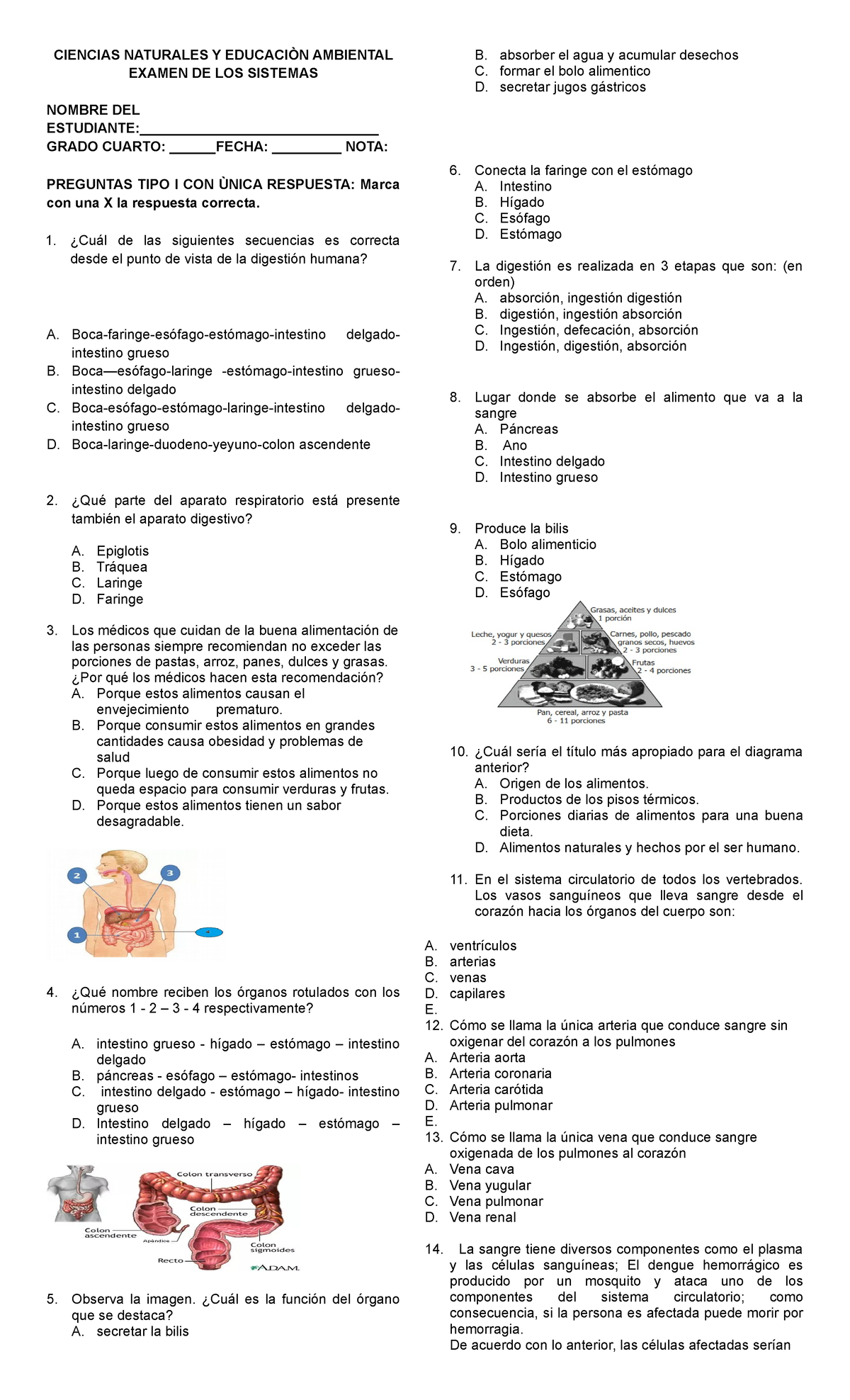Examen sistema digestivo, circulatorio , respiratorio y exceretor - CIENCIAS NATURALES Y ...