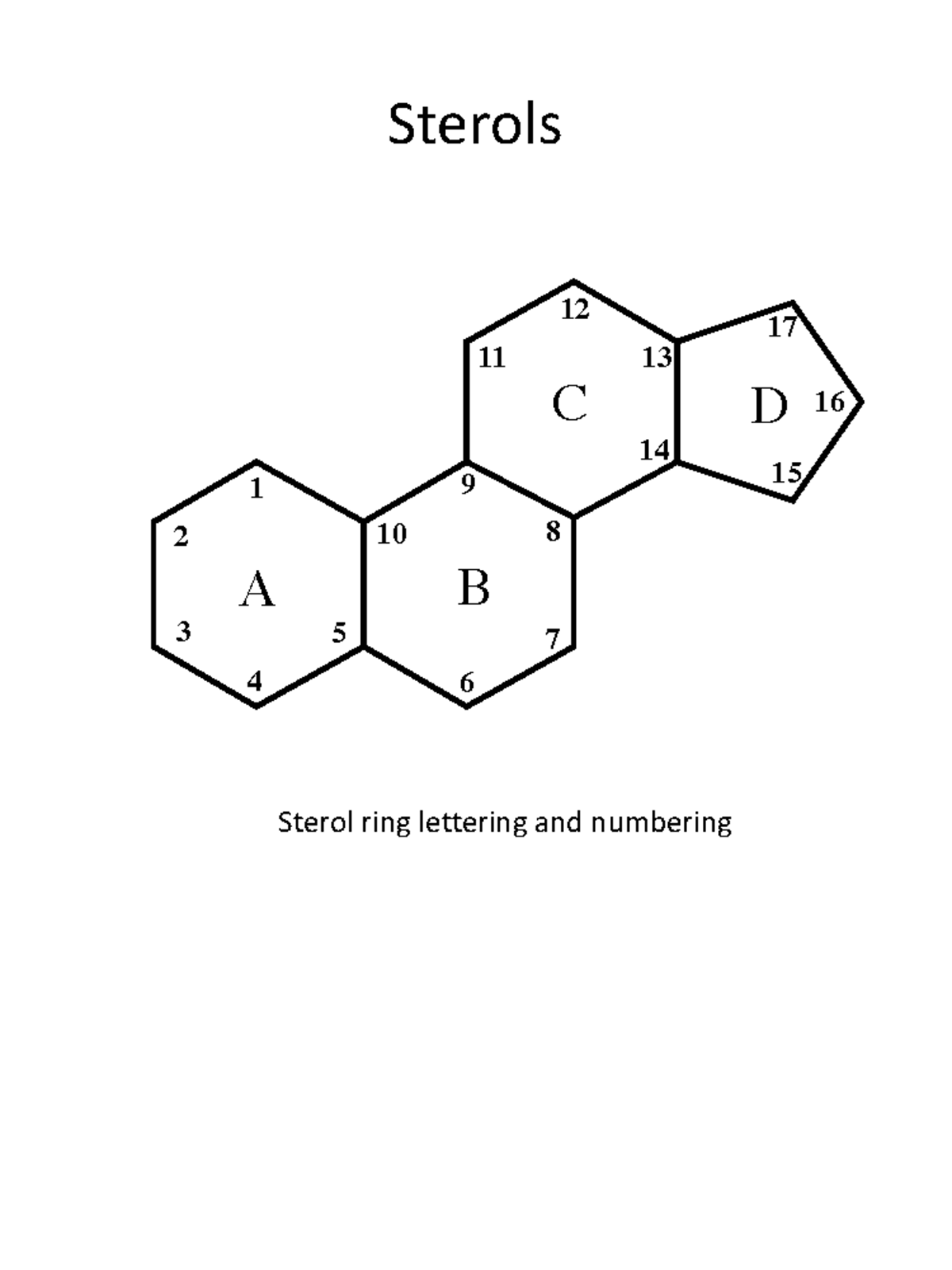 Lipids Lect 2 - A B Sterol ring lettering and numbering - C D - HO H H ...