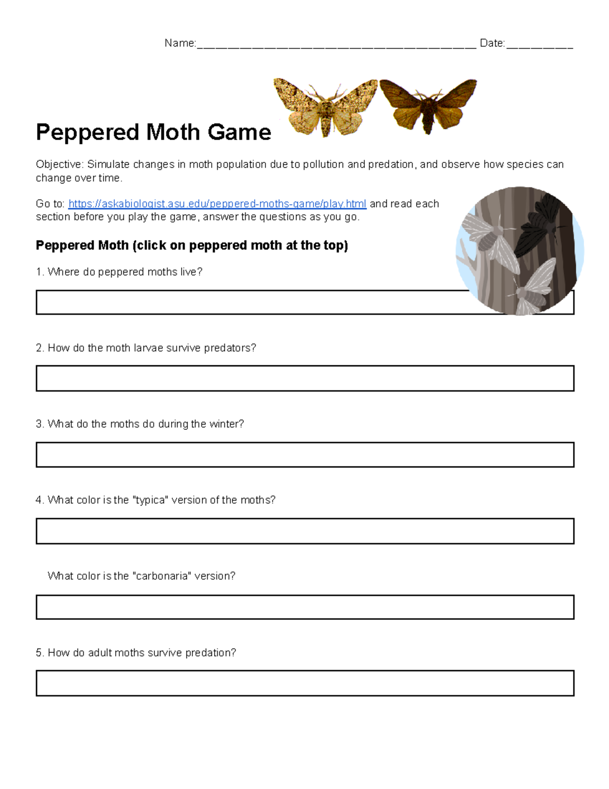 Peppered Moth Game 2020 - Name ...