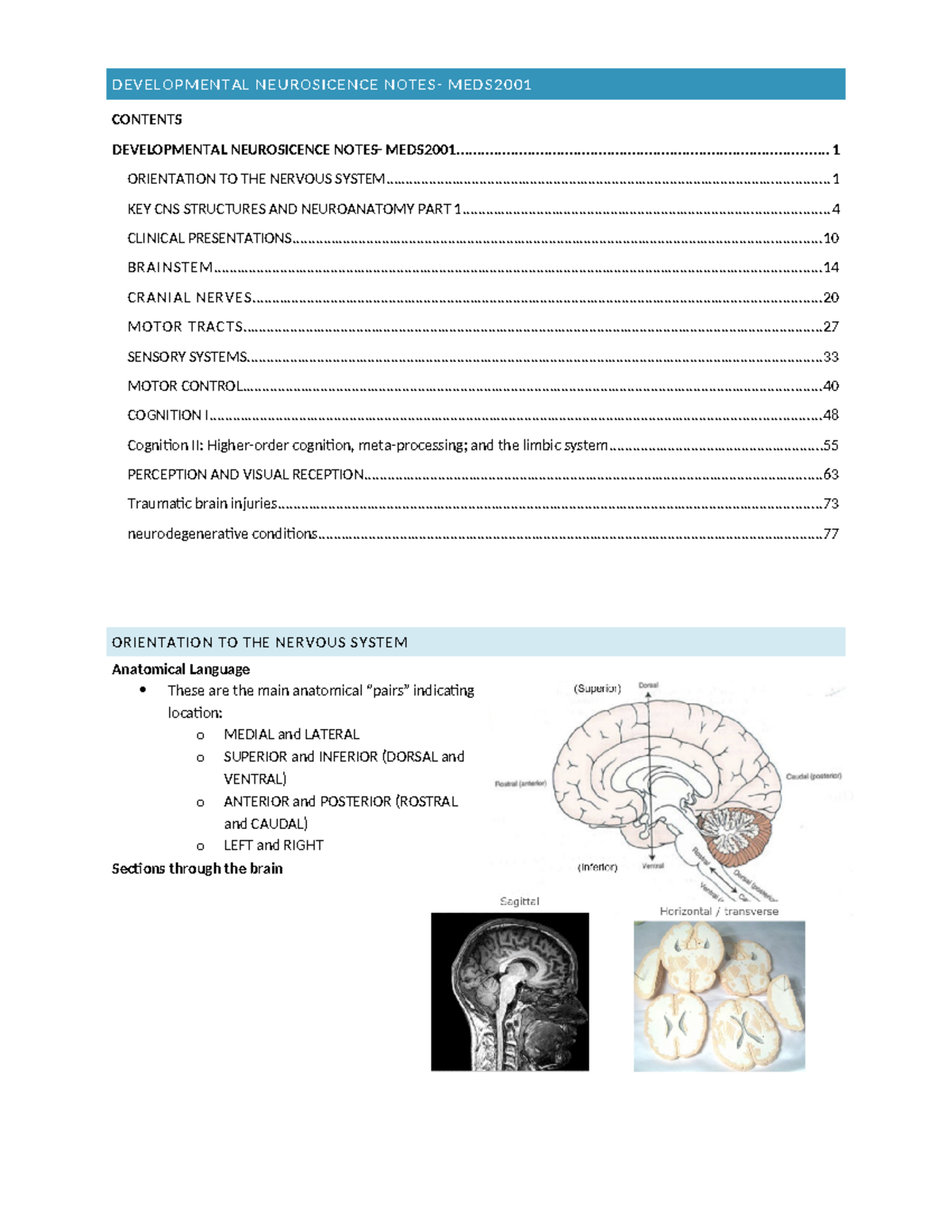 Lab- Developmental neuroscience notes - DEVELOPMENTAL NEUROSICENCE ...
