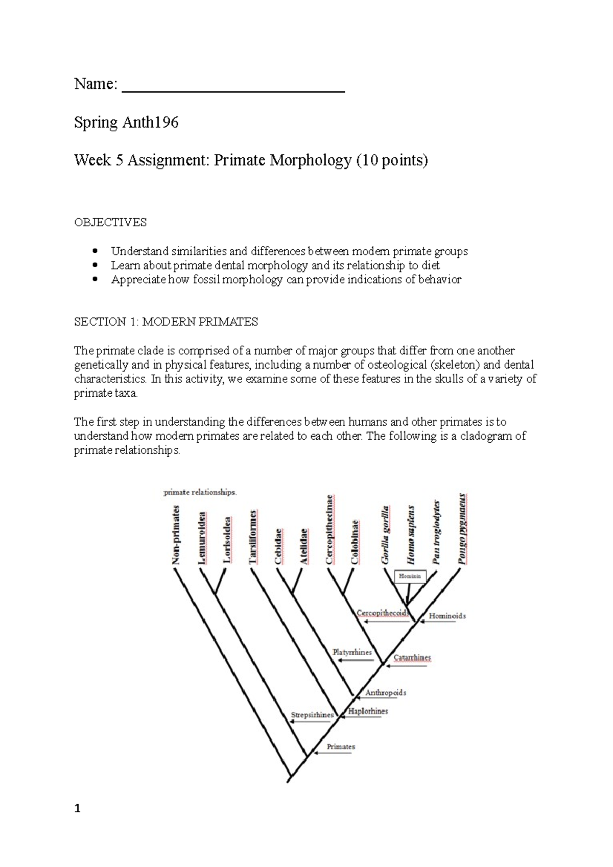 Week 5 Activity Primate Morphology - Name: Spring Anth Week 5 ...