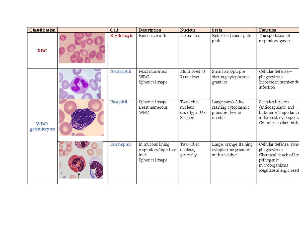 Blood cells chart staining identification of microscope slide ...