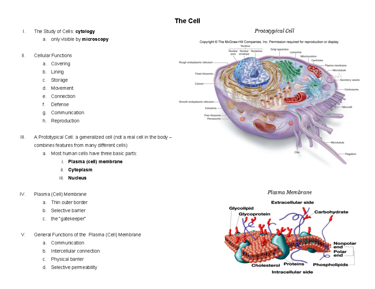 (2)BMS 107 Cell Outline F14 - !"#$%#&'(%)*#+(& The Cell I. The Study of ...