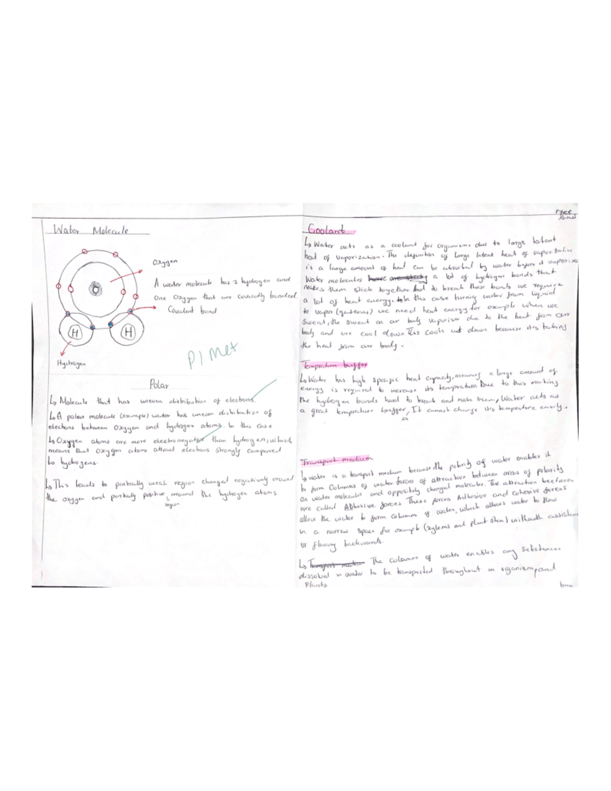 Water Molecule - UN2 - Studocu
