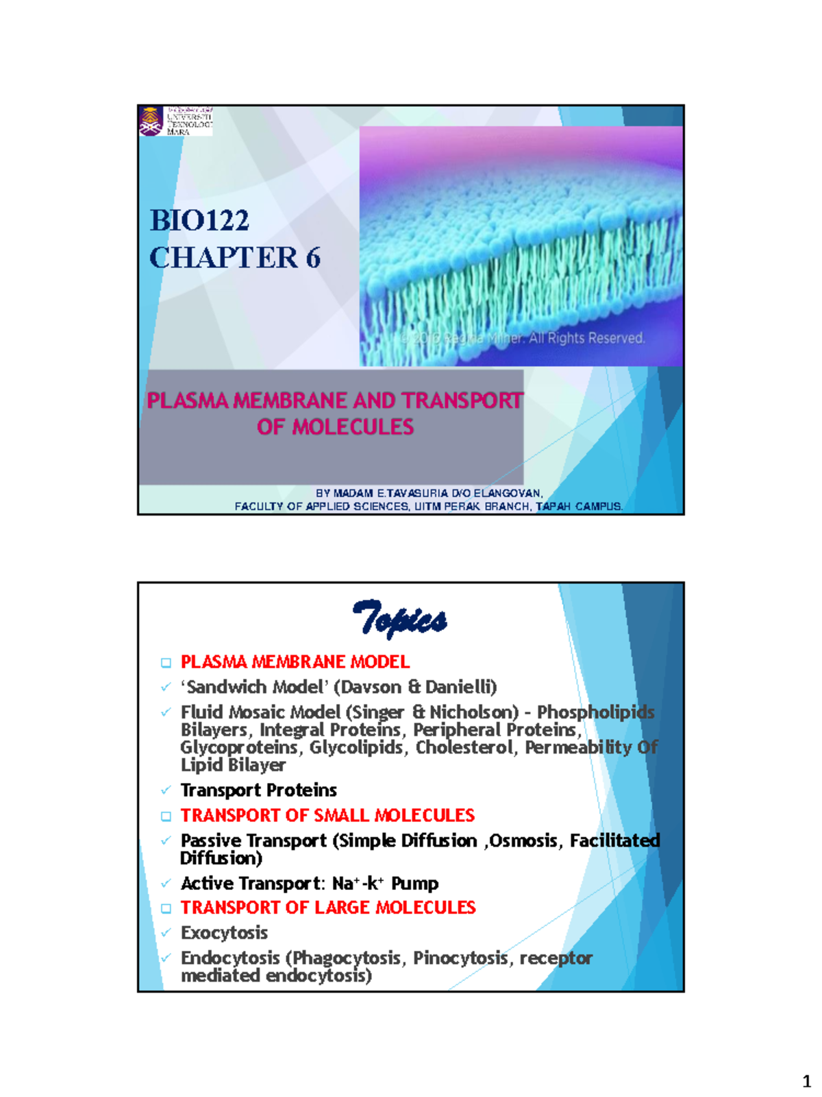 Chapter 6 Notes - ABOUT PLASMA MEMBRANE AND TRANSPORT OF MOLECULE ...