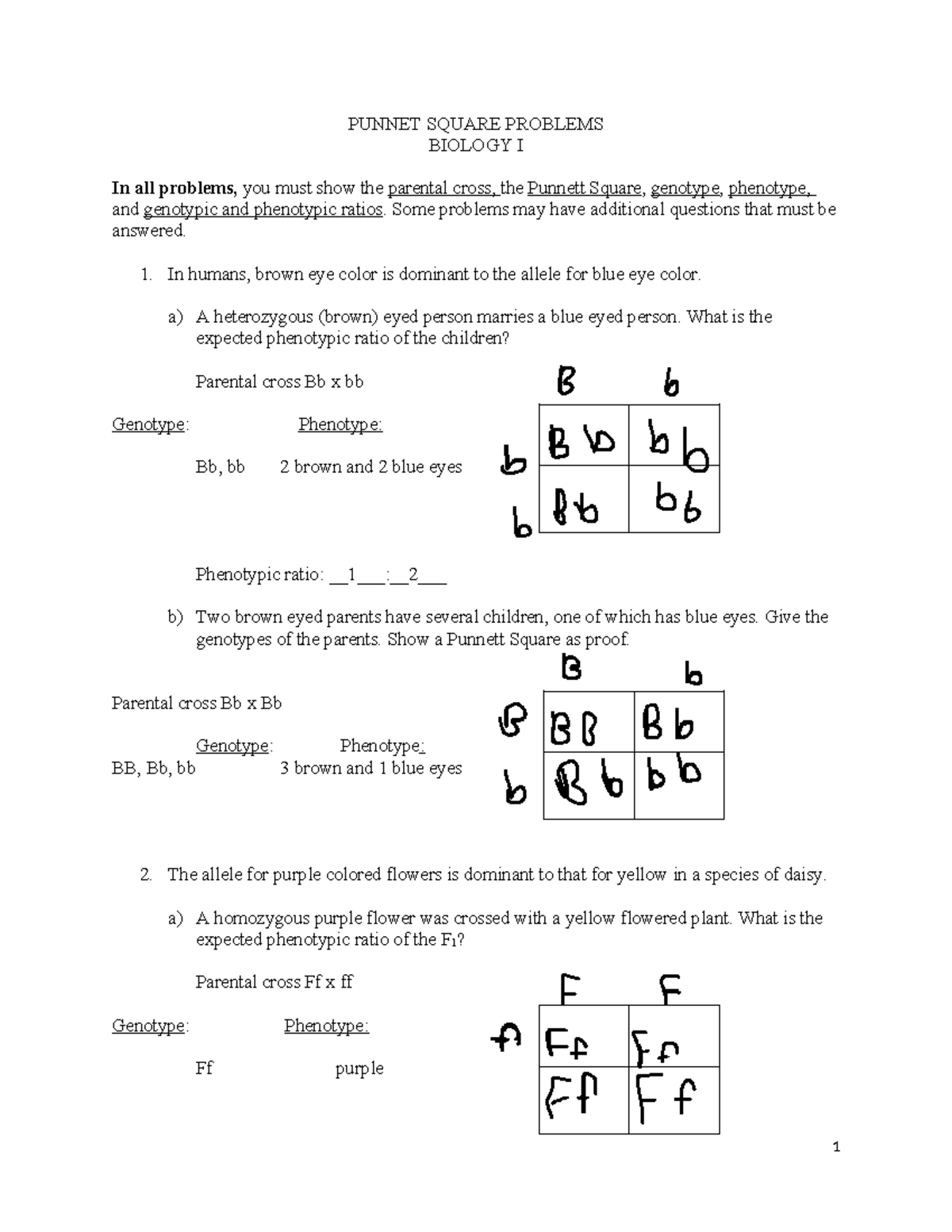 Punnet+ Square+ Problems - PUNNET SQUARE PROBLEMS BIOLOGY I In all ...