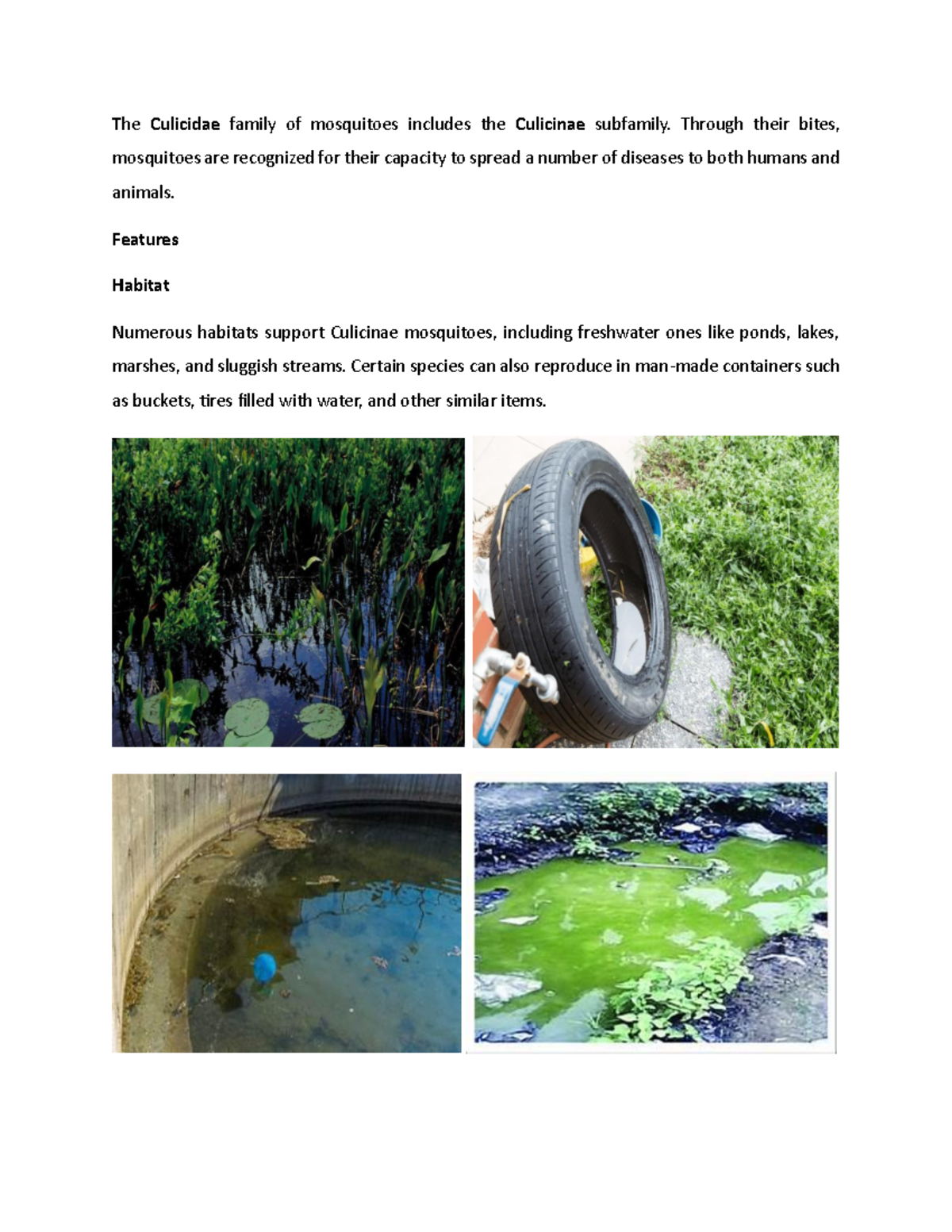 The-Culicinae - Lecture - The Culicidae family of mosquitoes includes ...