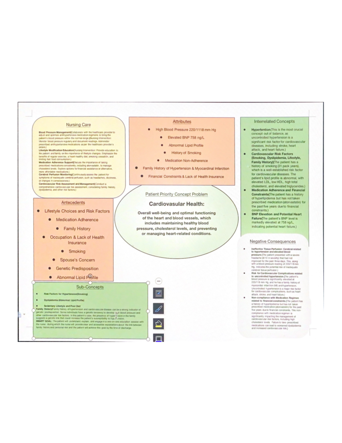 Nursing Care 2 - Concept map - RNSG 2539 - Studocu