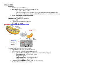 206 Lab Manual - Week 4 - BIOL 206 Lab Manual Week 4 Table of Contents Introduction to the Light ...