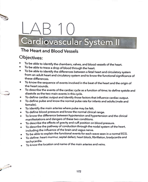 Lab Manual Lab 10 - Cardiovascular System - LAB 10 Cardiovascular ...