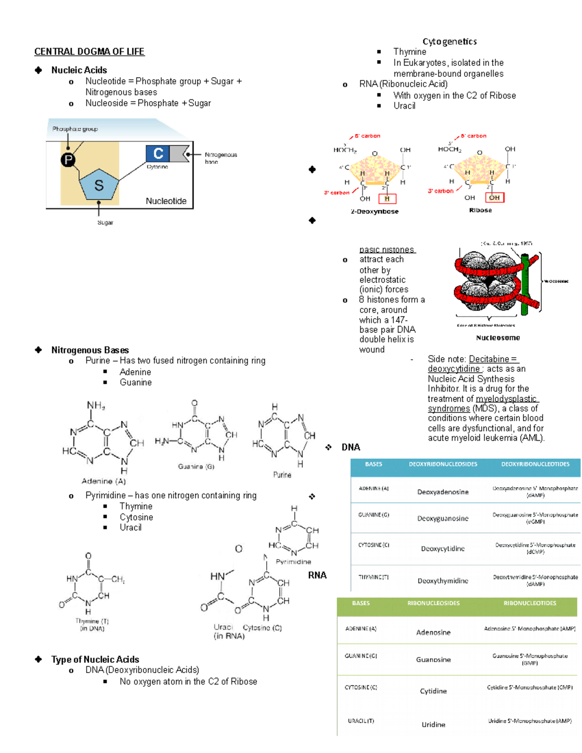 Cytogen - notes - CENTRAL DOGMA OF LIFE Nucleic Acids o Nucleotide ...
