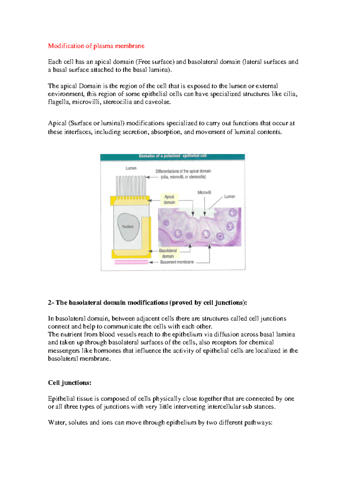 1631224742 - vauzbajhsbs - Modification of plasma membrane Each cell ...