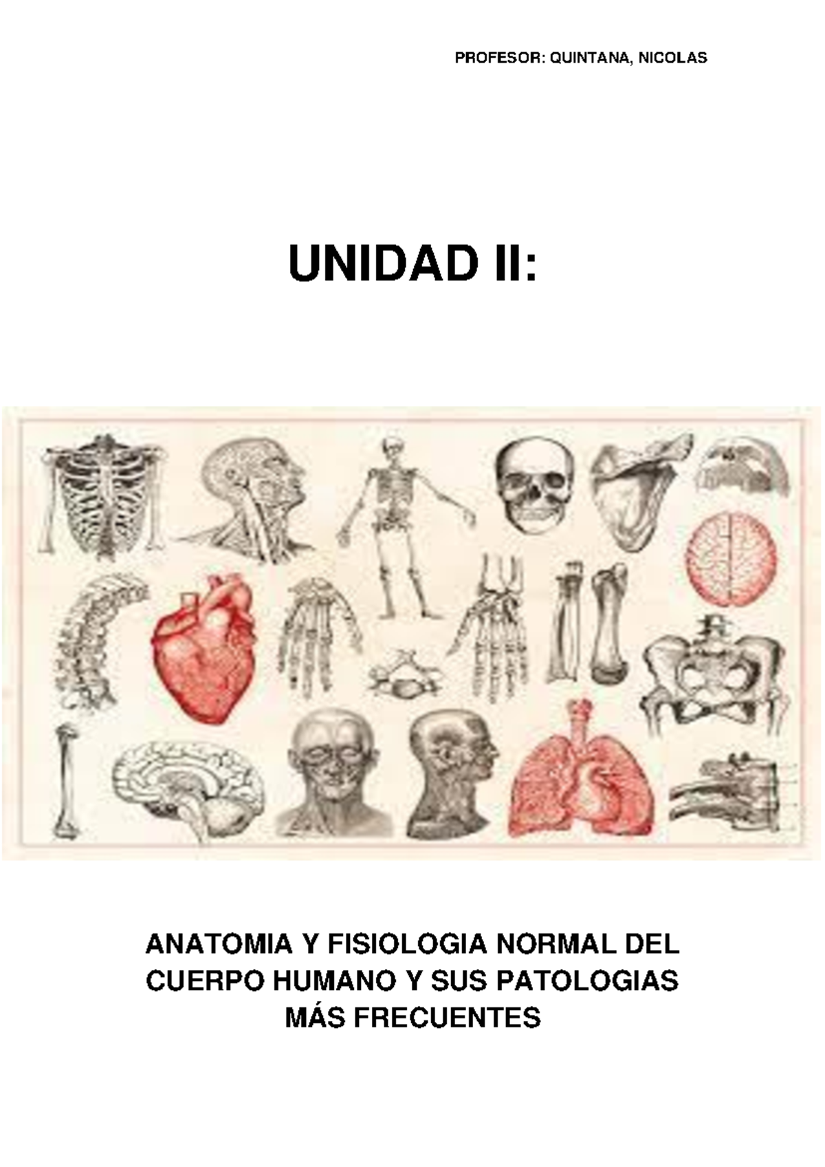 Generalidades DE LA Anatomia - UNIDAD II: ANATOMIA Y FISIOLOGIA NORMAL ...