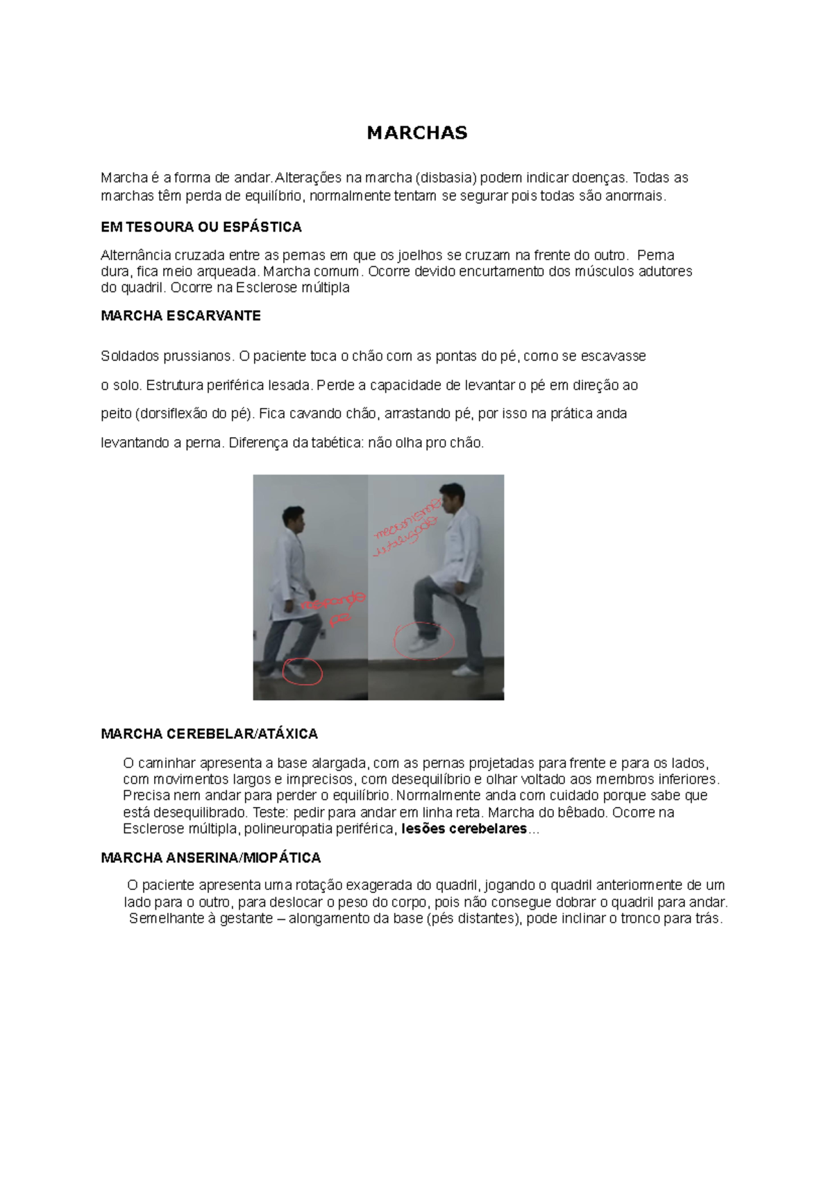 Marchas - Resumos ciclo básico - MARCHAS Marcha é a forma de andar ...