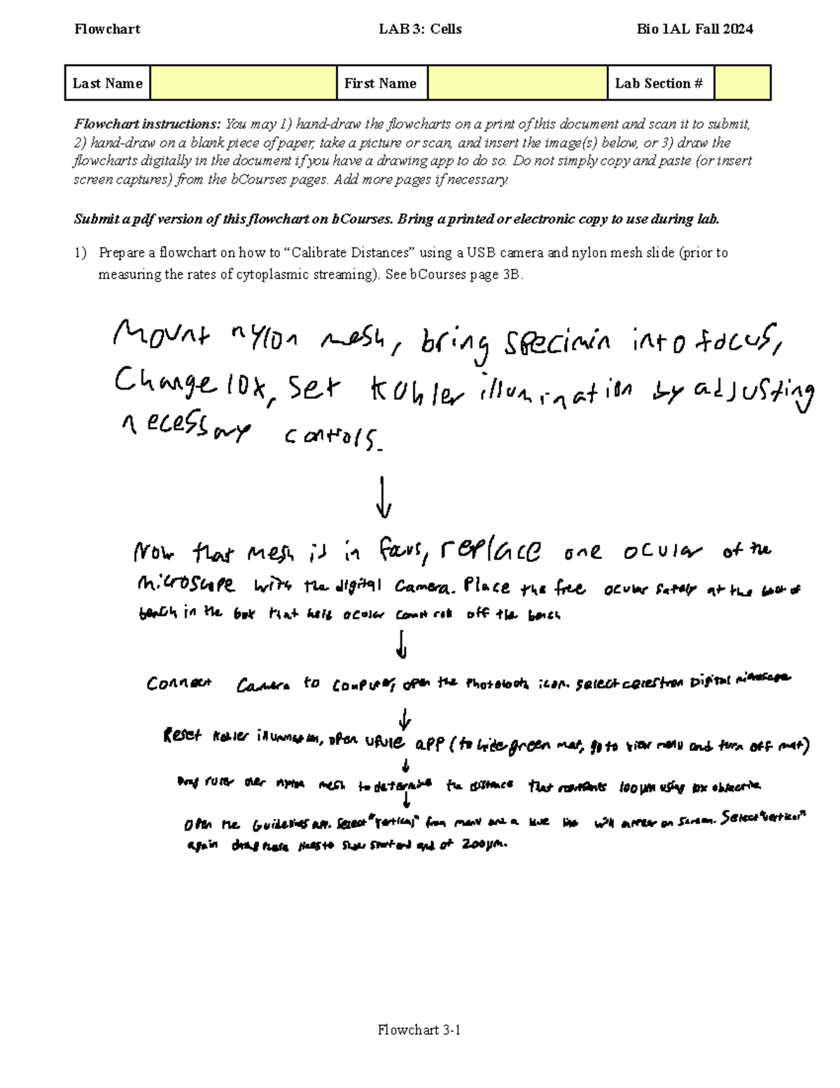 Lab 3 - Cells Flowchart Fa24 2 - Flowchart LAB 3 : Cells Bio 1 AL Fall ...