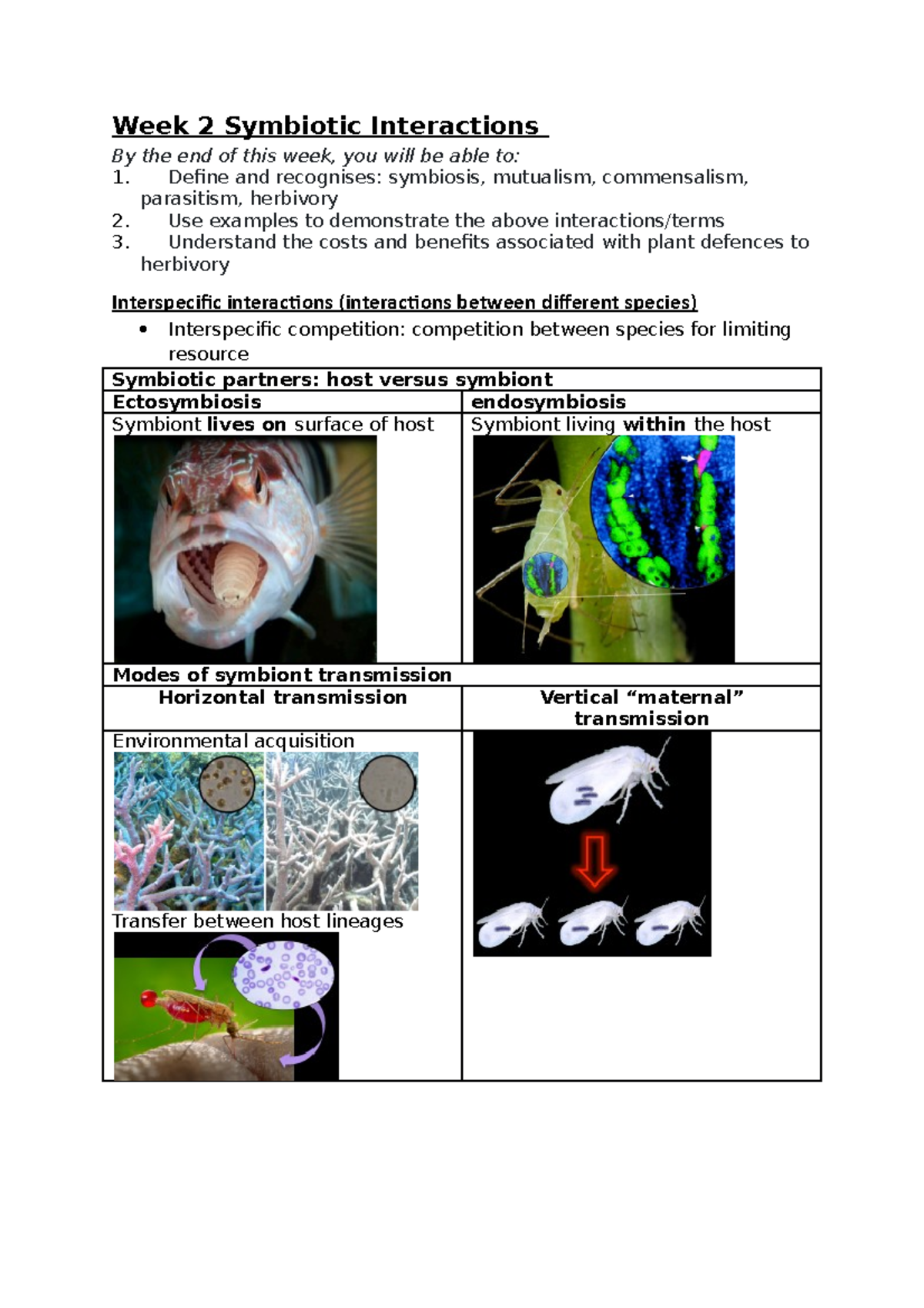 Week 2 symbiotic interactions - Week 2 Symbiotic Interactions By the ...