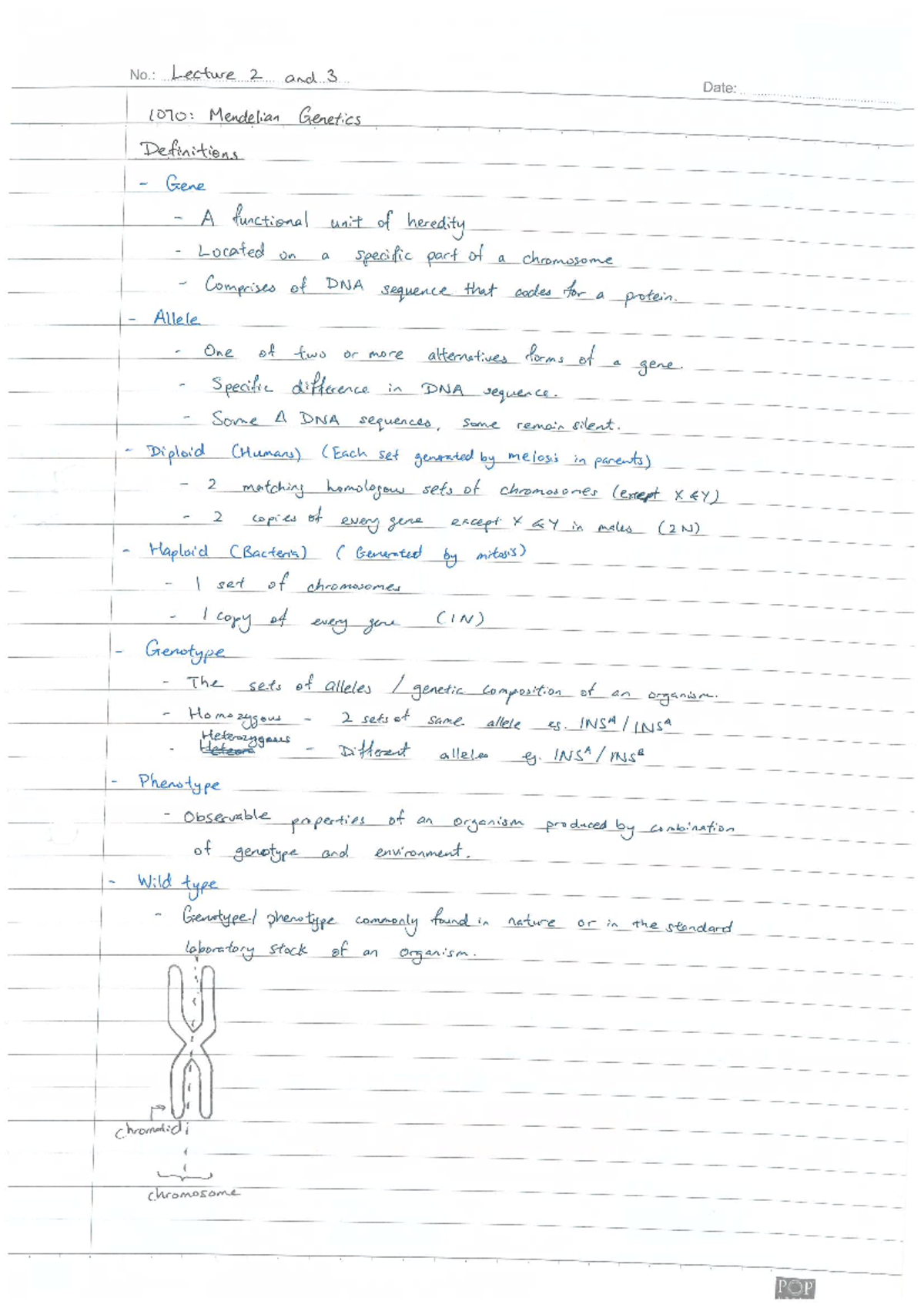 Genetics and Molecular Biology - Lecture notes - 4BBY1070 notes ...