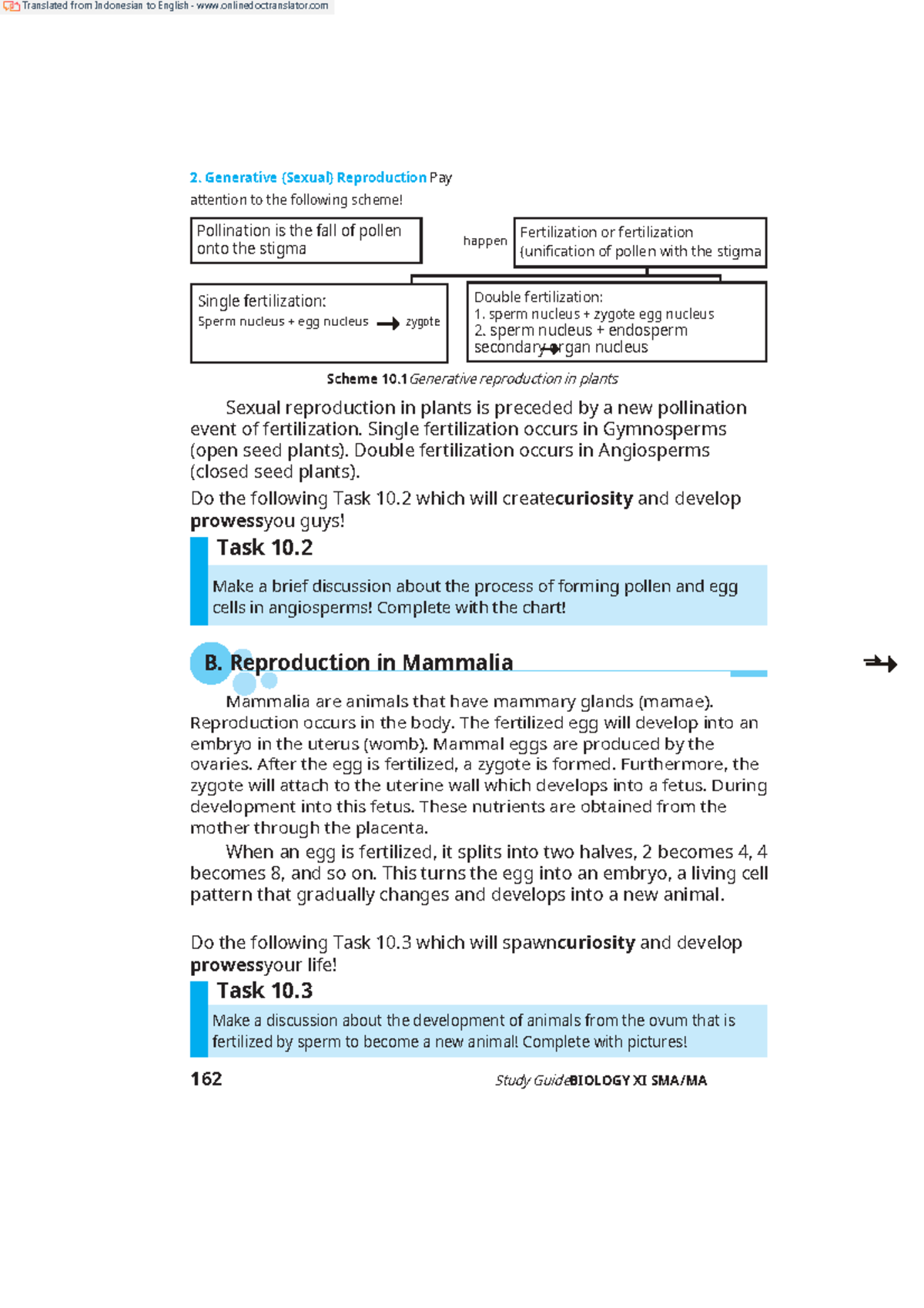 Reproduction in Mammalia - ####### 2. Generative (Sexual) Reproduction ...
