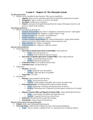 BSC2085L Lesson 4 - Lesson 4 - Chapter 9: Axial Skeleton Part 1 Axial ...