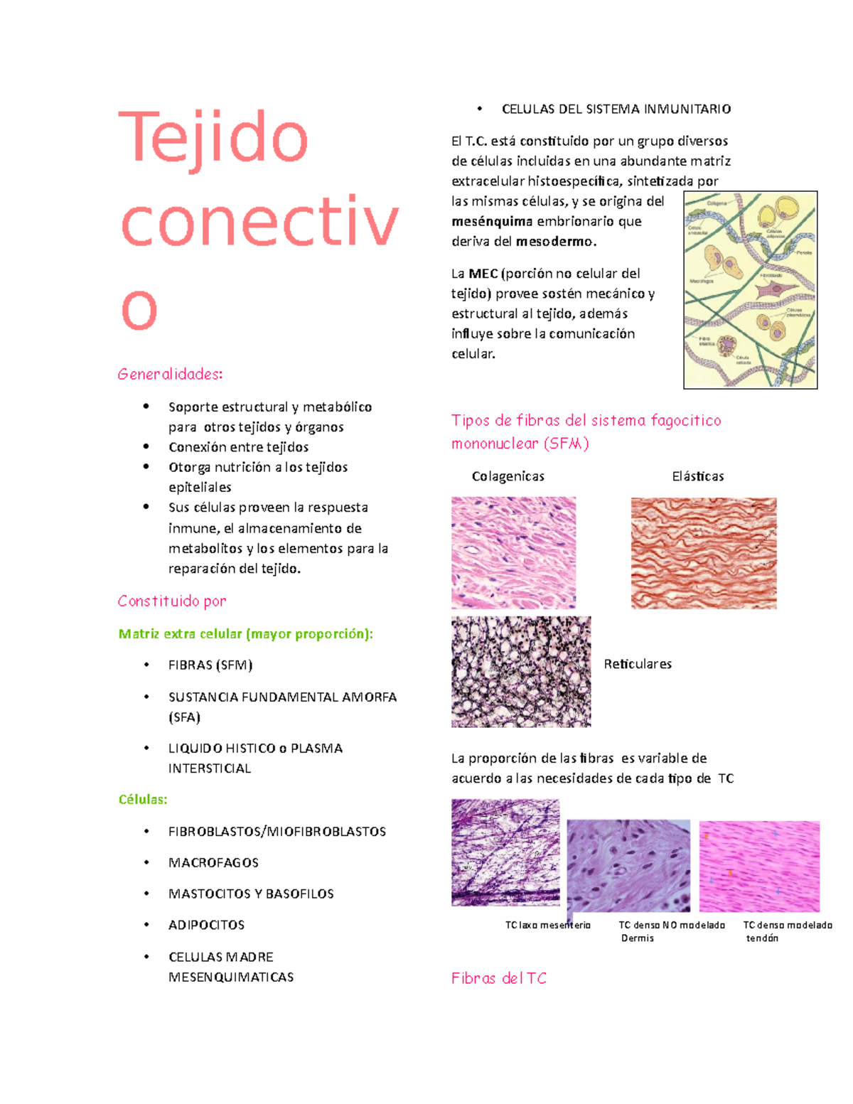 Tejido conectivo - resumen del power entregado en clases - Tejido ...