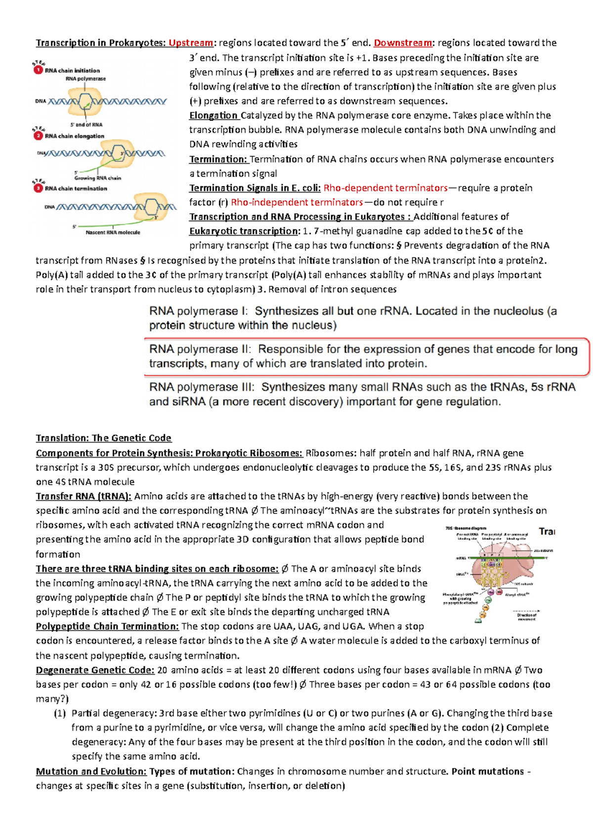 Genetics and Evolutionary Biology Module 4 - Transcription in ...