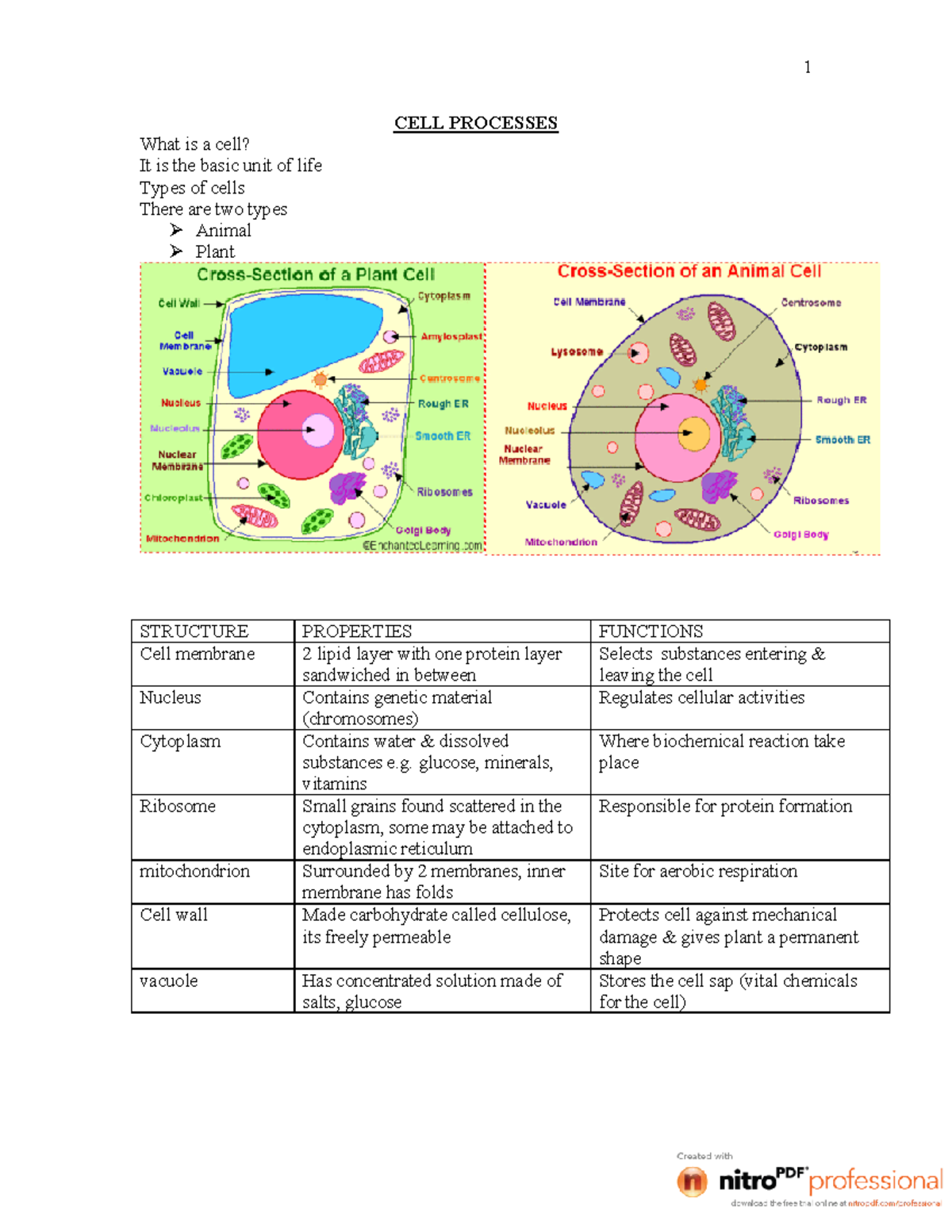CELL Processes - CELL PROCESSES What is a cell? It is the basic unit of ...