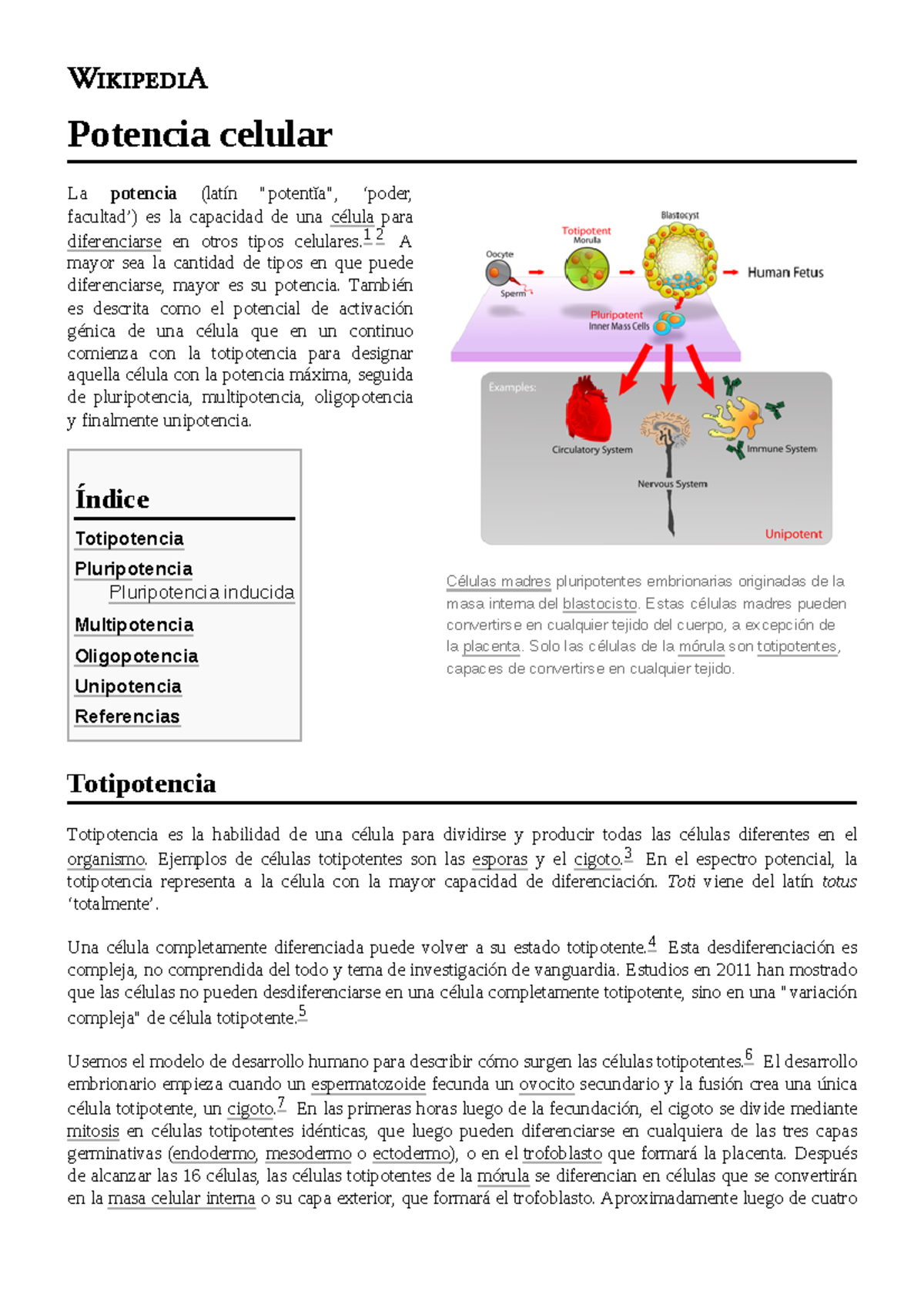 Potencia celular - Células madres pluripotentes embrionarias originadas ...