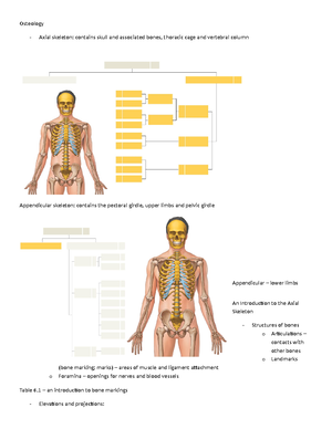 Summary Netter's Anatomy Introduction To The Nervous System ...