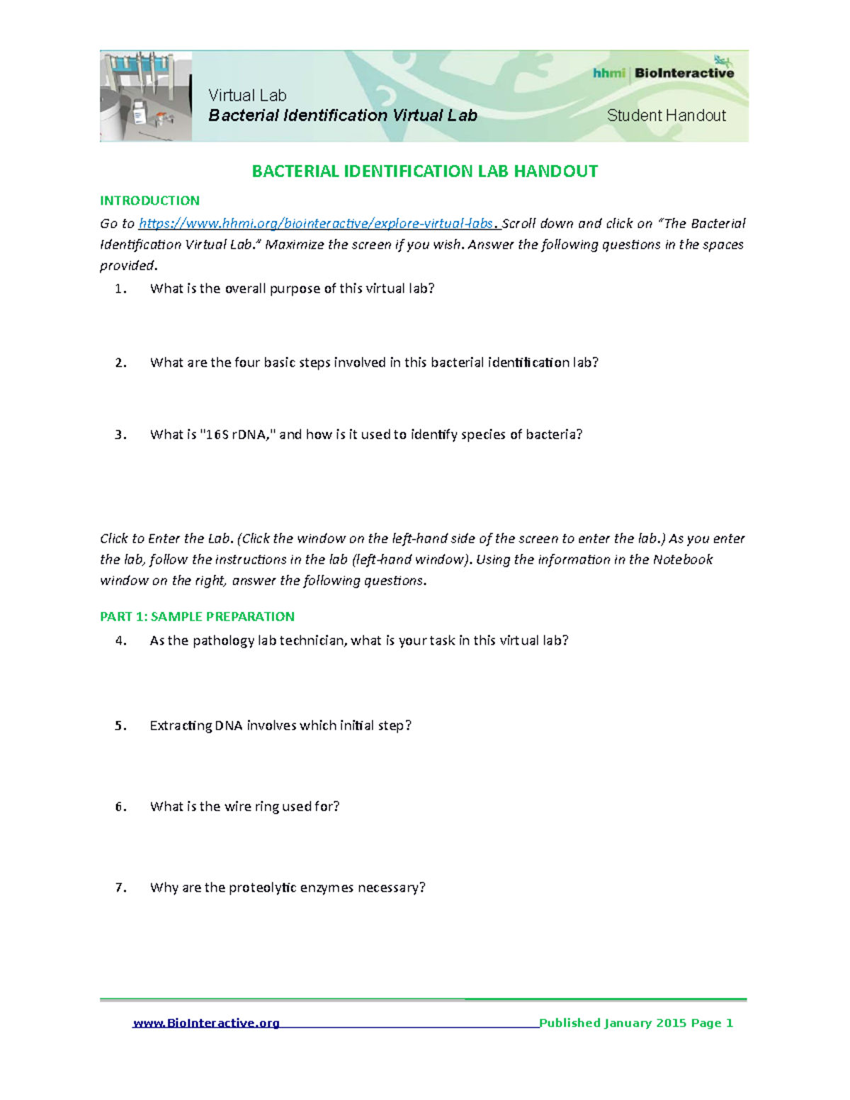 Bacterial Identification Lab Worksheet Student - Bacterial ...