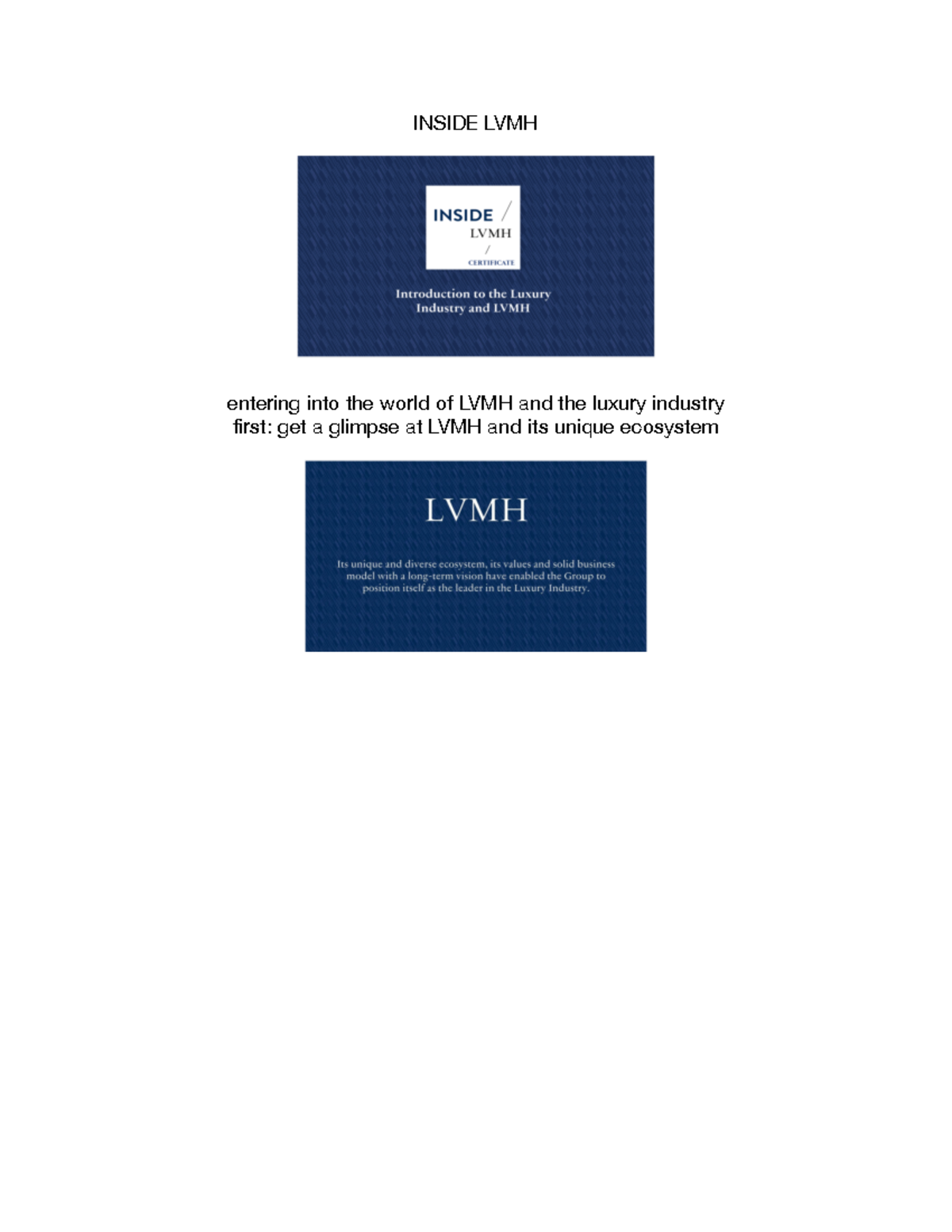 Inside LVMH Notes - Management Of Fashion Companies - INSIDE LVMH ...