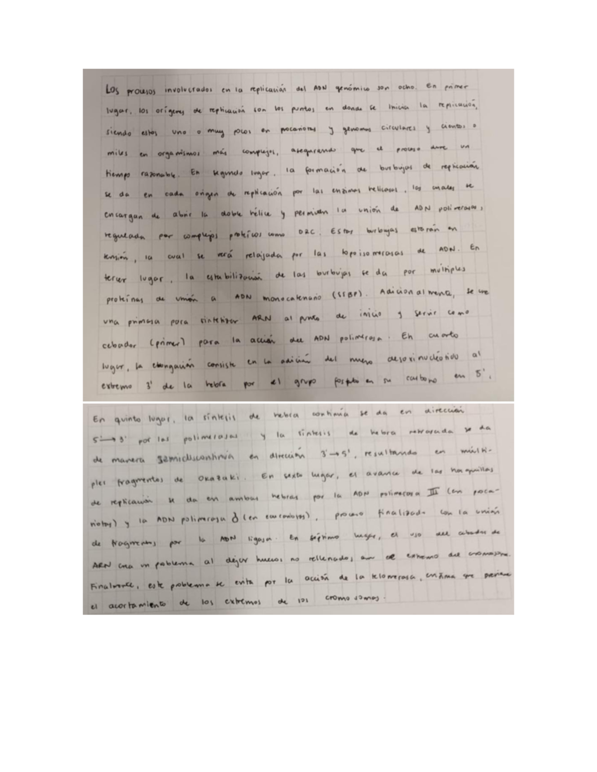 Ahora pbbbb - 11212334 - Los processos involucrados en la replicacion ...