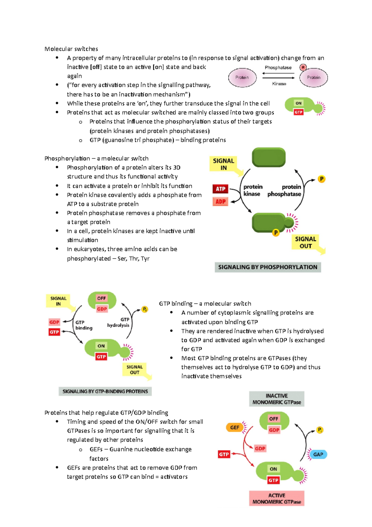 Molecular switches - Molecular switches A property of many ...