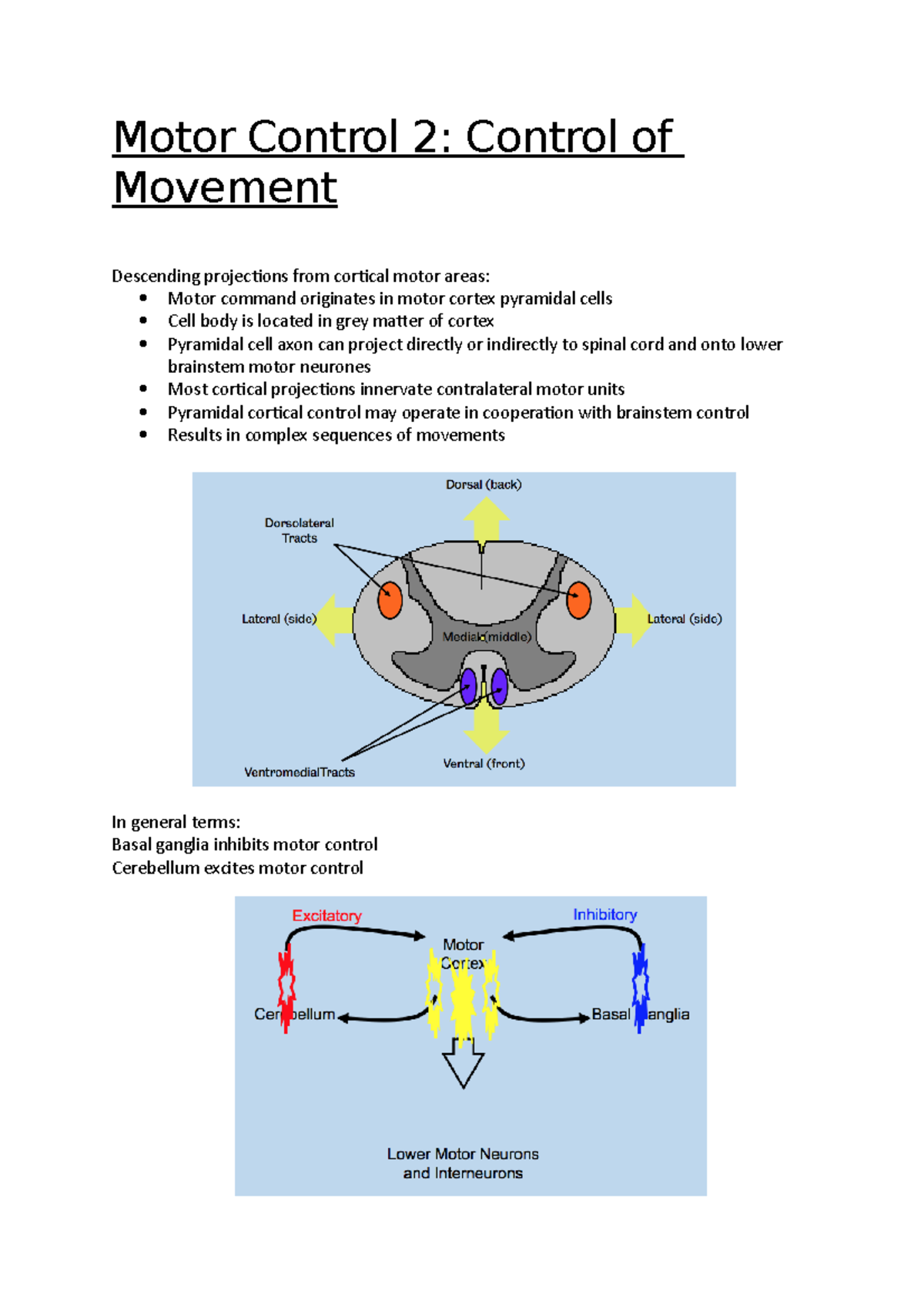 Motor Control 2 - Medicine 1st year notes - Motor Control 2: Control of ...