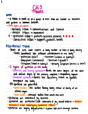 anatomy & physiology - Warning: Error during font loading: XMLHttpRequest is not defined CHAPTER ...