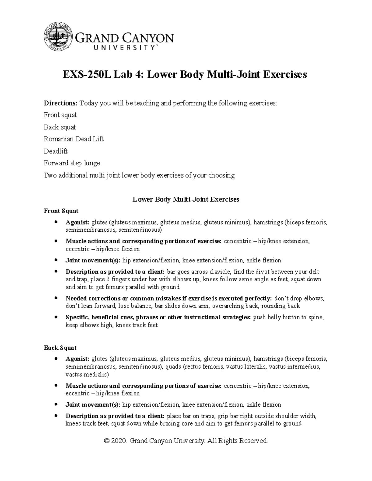 Lab 4 This Is The 4th Lab For This Class Got 100 On It Exs 250l Lab 4 Lower Body Multi 1563