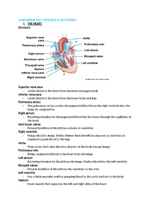 YEAR 12 Human Biology - Chapter 8 - YEAR 12 HUMAN BIOLOGY ATAR UNIT 3 ...