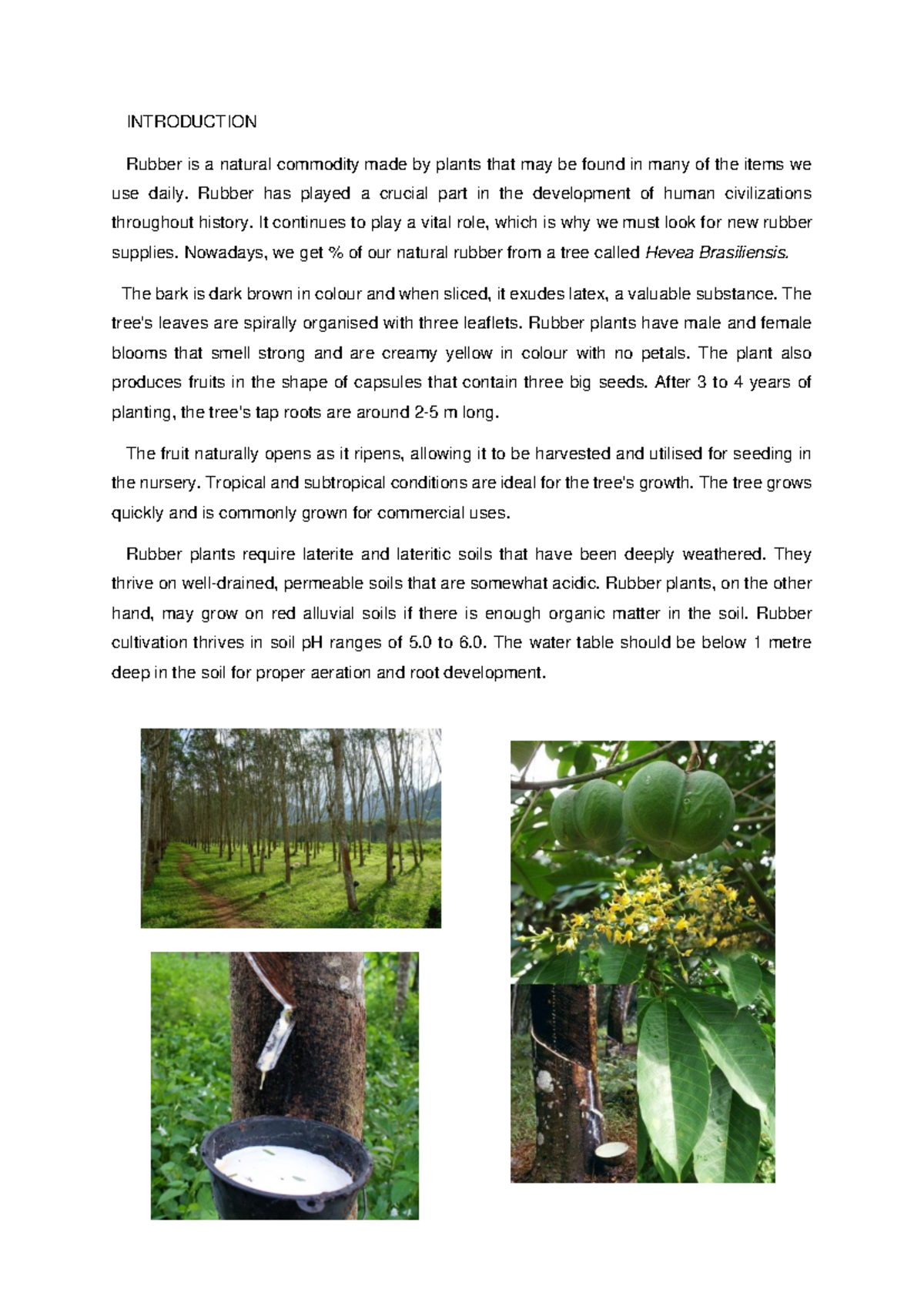 AGR182 written assignment (rubber) - INTRODUCTION Rubber is a natural ...