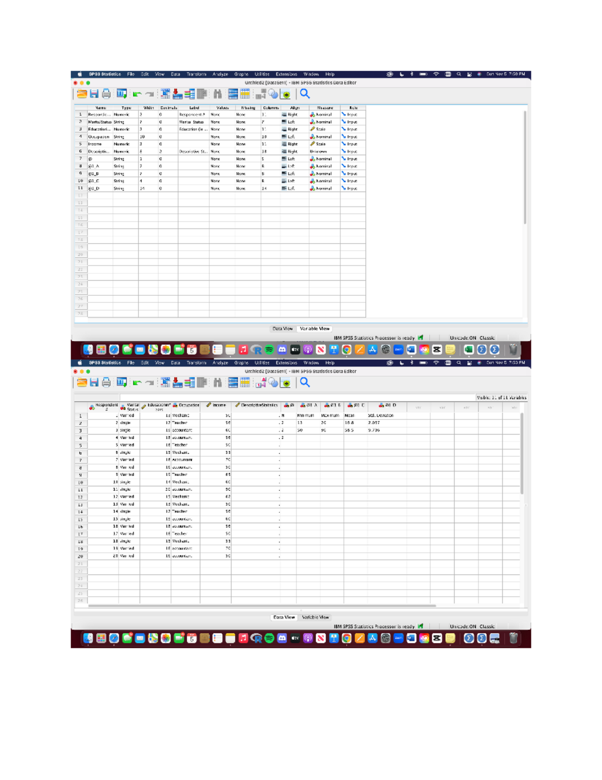 CWA 10-SPSS Descriptive Analysis - MKTG 315 - Studocu