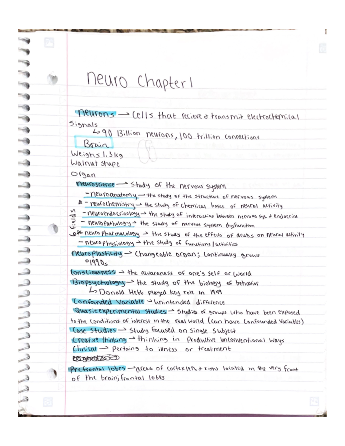 Neuro chaoter 1 - Chapter notes - NSC 1306 - Studocu