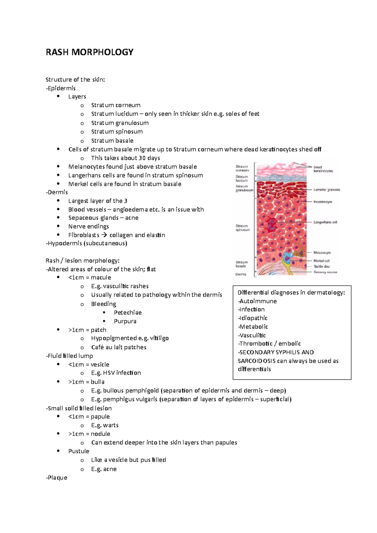Rash Morphology - RASH MORPHOLOGY Structure of the skin: -Epidermis ...