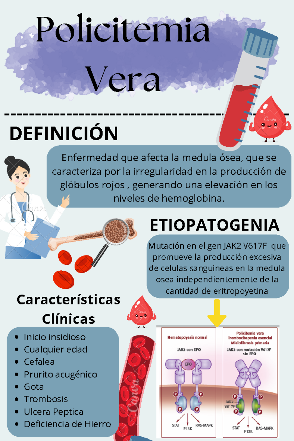 Policitemia Vera Godoy Colin Estefania 603 - ETIOPATOGENIA Policitemia ...