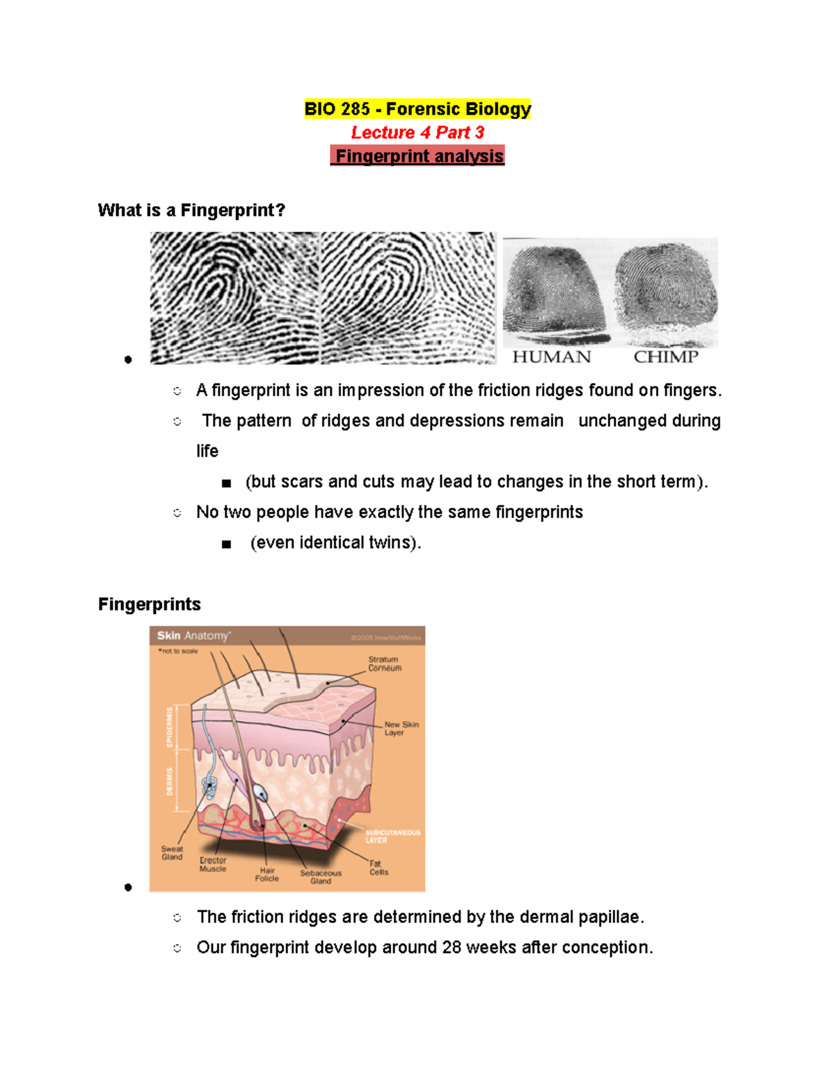 BIO 285 Lecture 4 Part 3 - Spring 2020 - BIO 285 - Forensic Biology Lecture 4 Part 3 Fingerprint ...