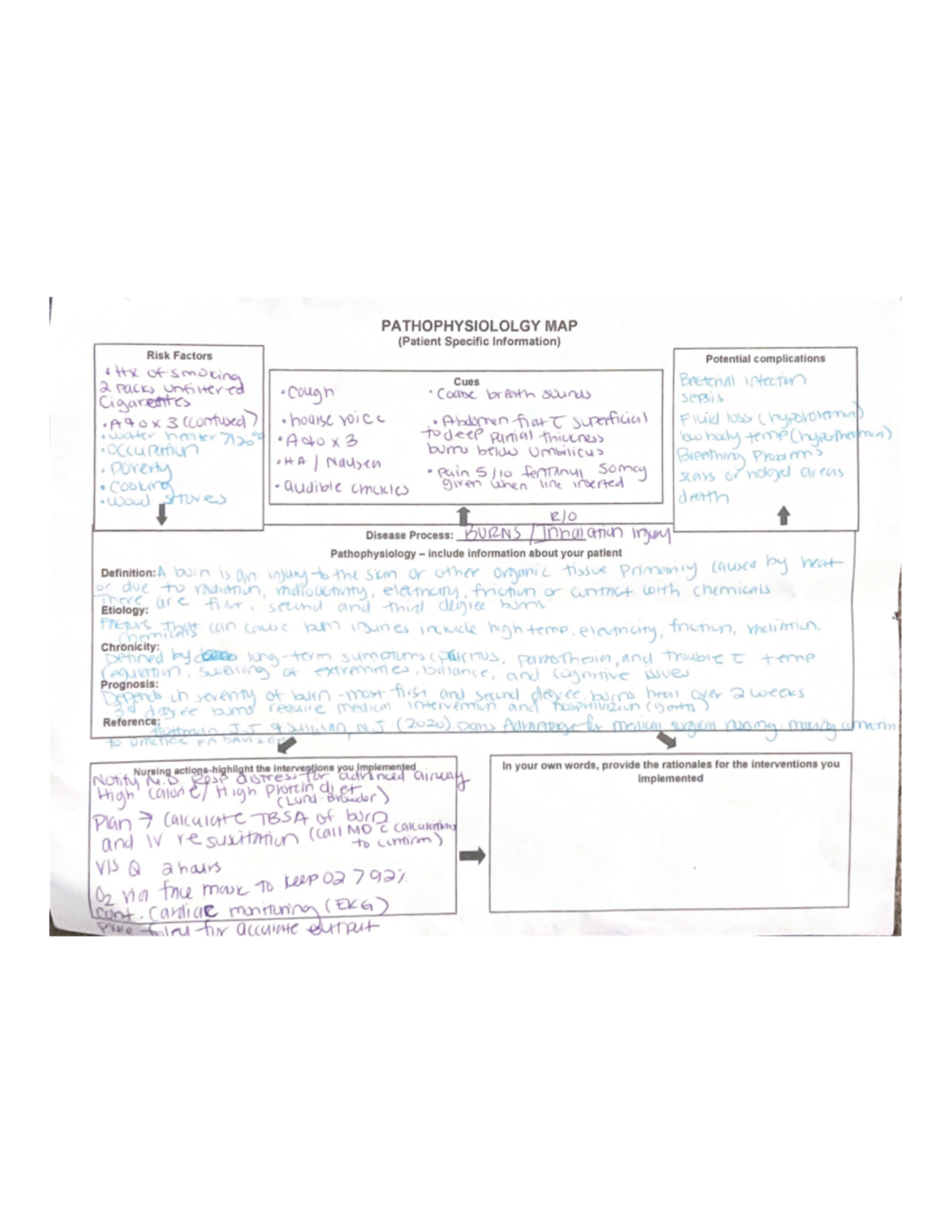 Pathophysiololgy MAP - 202 - Studocu