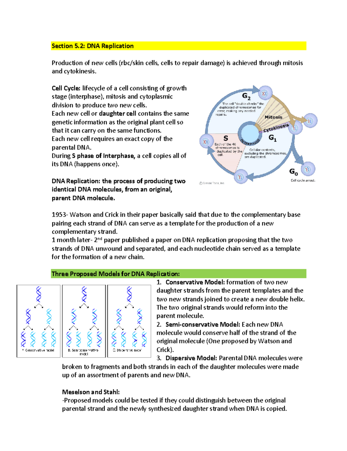Section 5.2 Part 2 - Section 5: DNA Replication Production of new cells ...