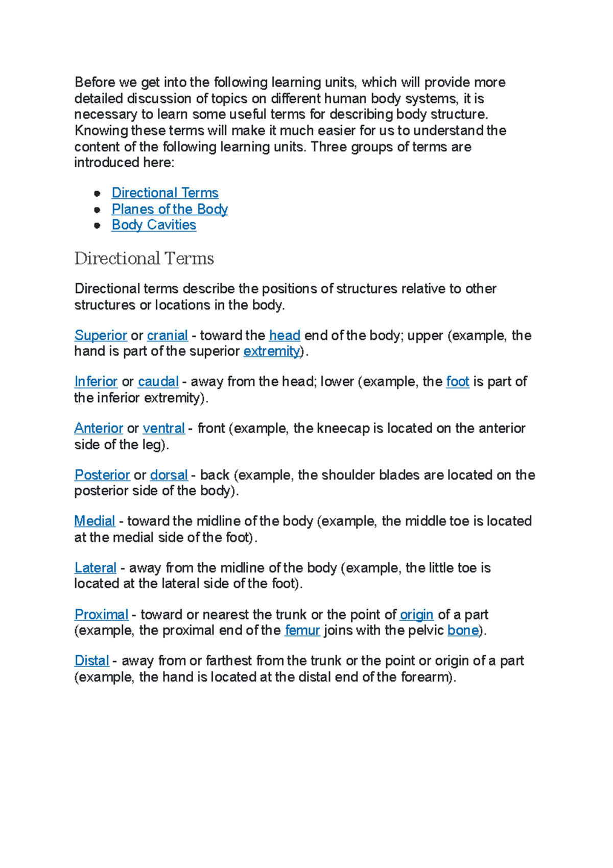 Anatomical Position Terms