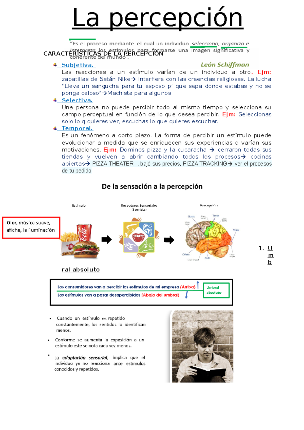 La percepción semana 4 Comportamientos - La percepción CARACTERÍSTICAS ...