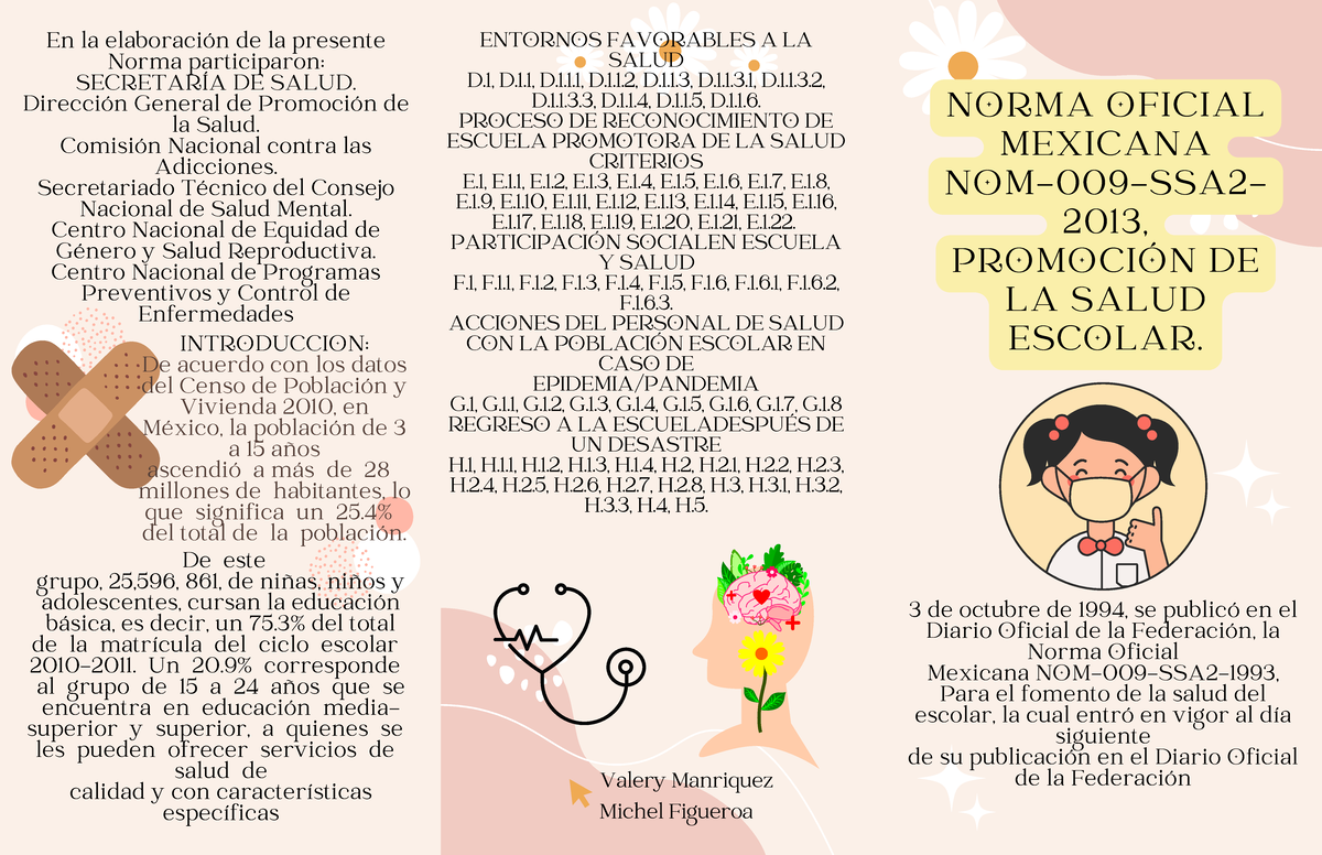 Norma 009 - FOLLETO INFORMATICO - NORMA OFICIAL MEXICANA NOM-009-SSA2 ...