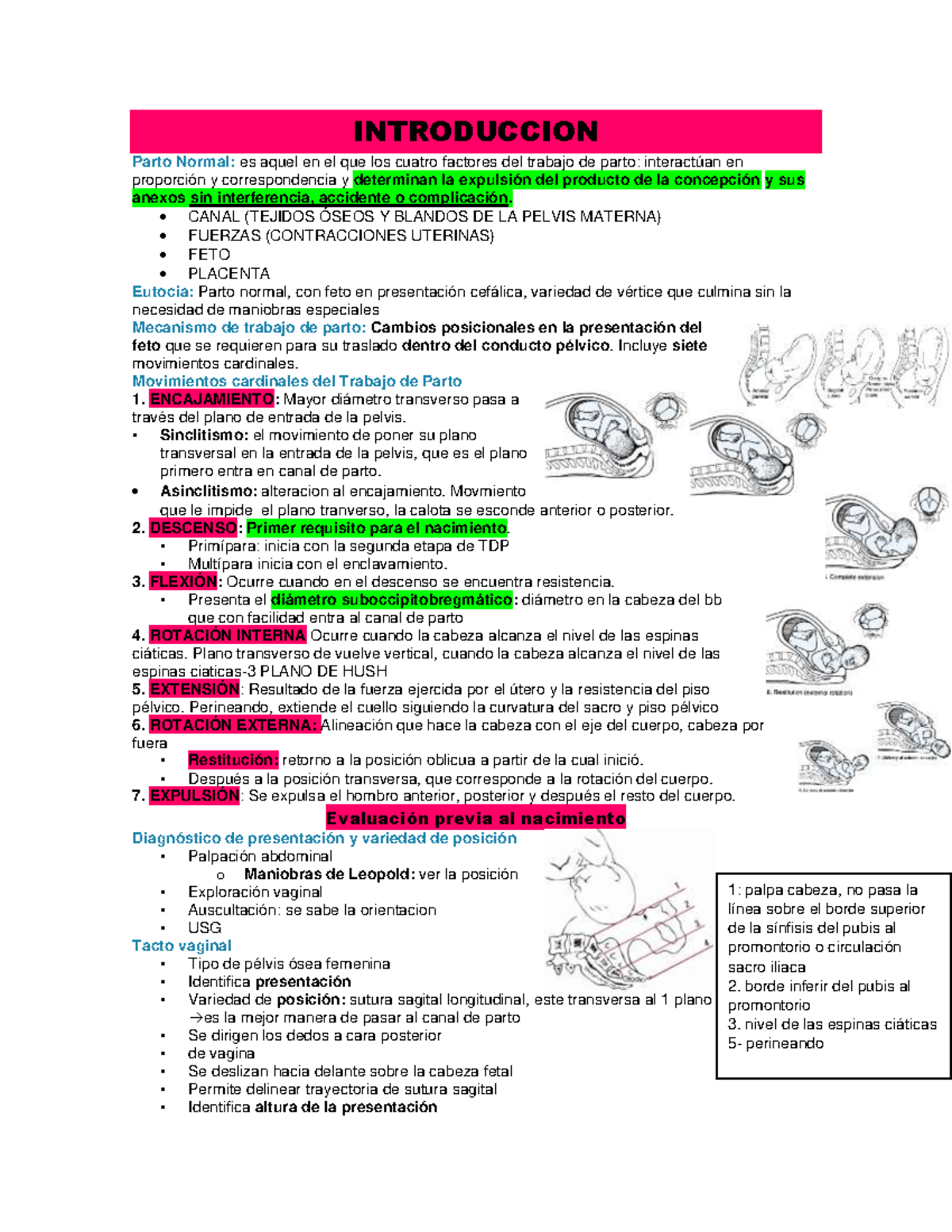 Roberto - apuntes de ginecologia y obstetricia 1 - INTRODUCCION Parto ...