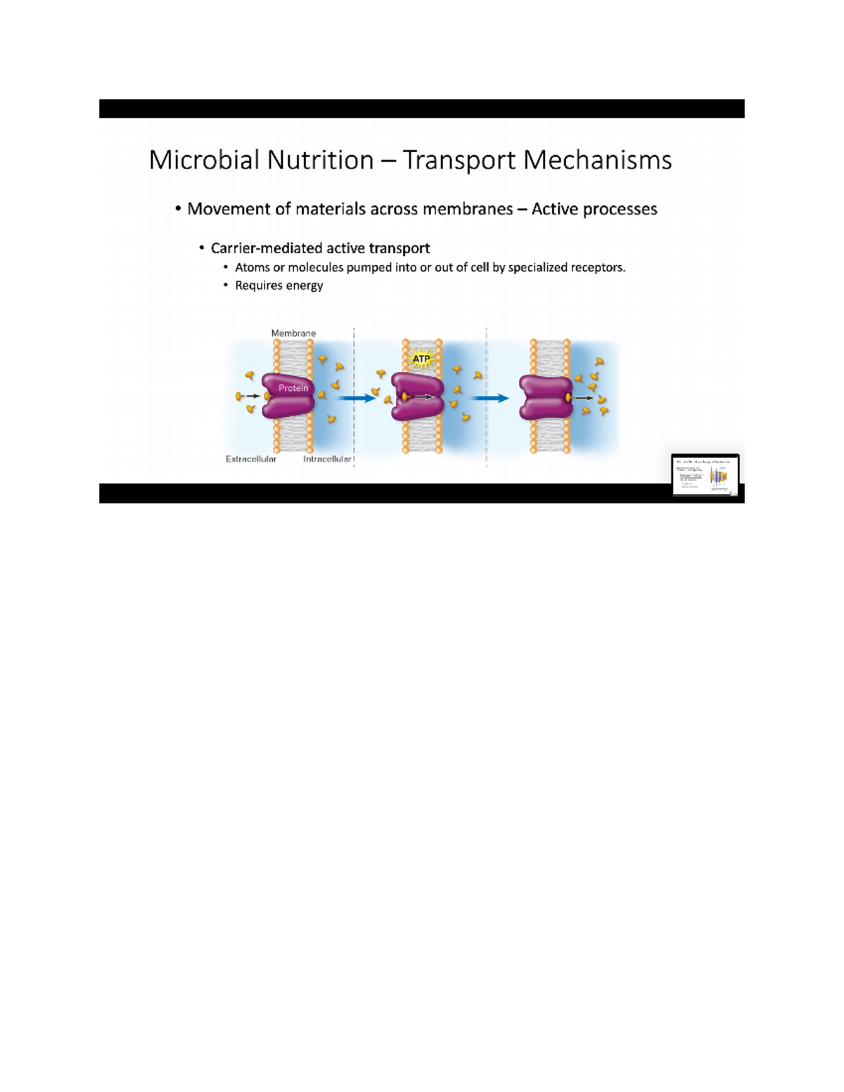 Bio notes 9 - Microbial Nutrition Transport Mechanisms Movement of ...